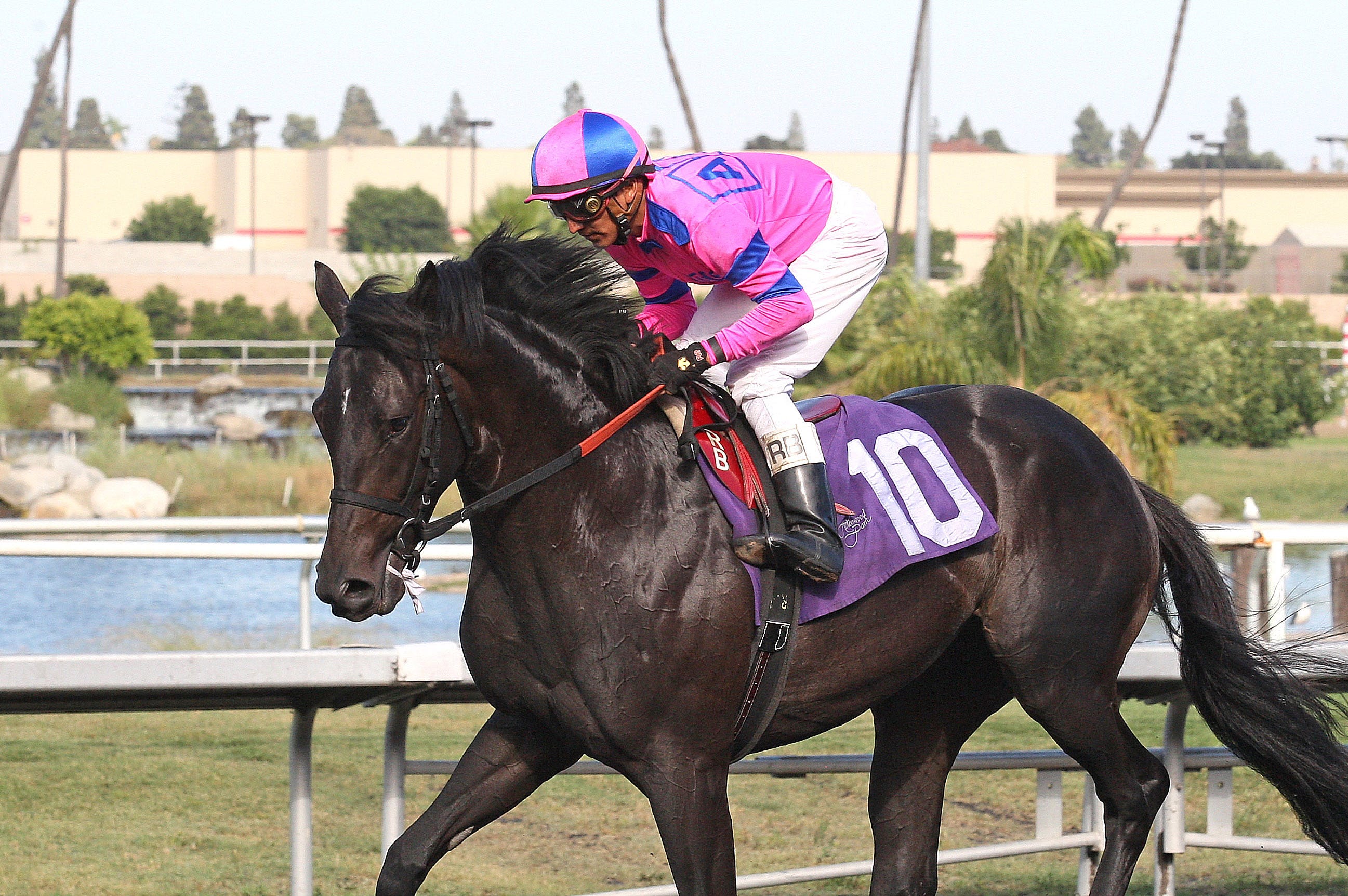 Del Mar Notes Dance With Fate To Get Test In Futurity Del Mar Notes Dance With Fate To Get Test In Futurity